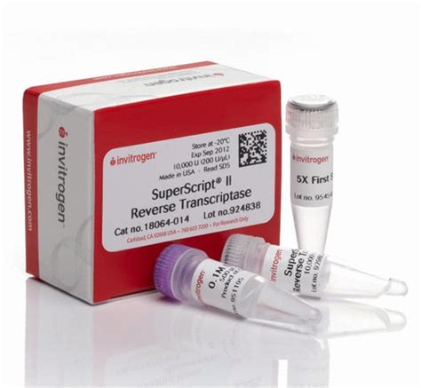 Superscript® Ii Reverse Transcriptase 10000un Afns Stores