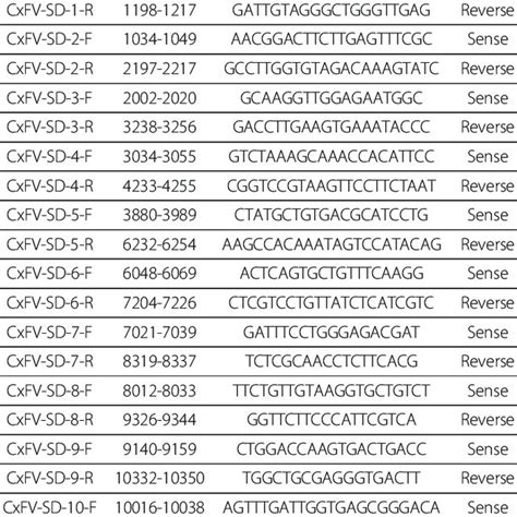 Degenerate Primer Sequences Used For Viral Screening And Primer Sets Download Table