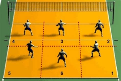 Las Zonas Y Las Posiciones En El Voleibol