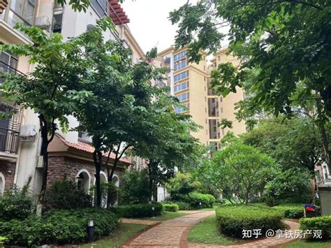 羊城楼评天健上城 知乎