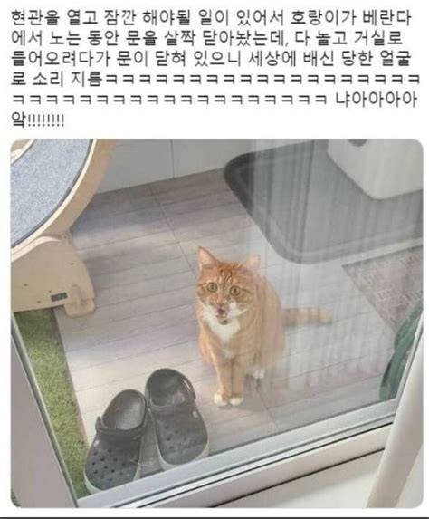 날개 없는 선풍기 단점  인스티즈 Instiz 이슈 카테고리