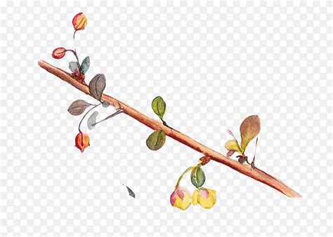 手绘桃树枝png图片素材下载图片编号qrpojplq 免抠素材网