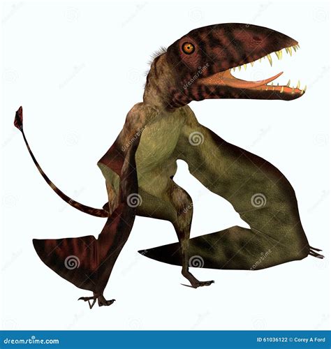 Pterosaur Dimorphodon Royalty Free Illustration