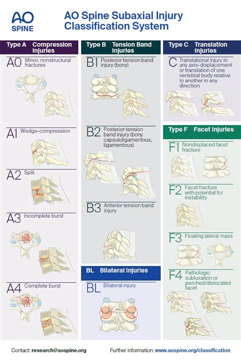 Ao Spine Speaking The Same Language In Spine Ao Spine Facebook