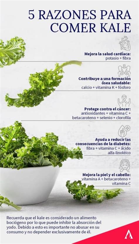 Conoce Los Increíbles Beneficios Del Kale Para Tu Salud Nutriaventura