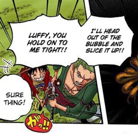 Luffy Zoro Luffy Zoro Comics