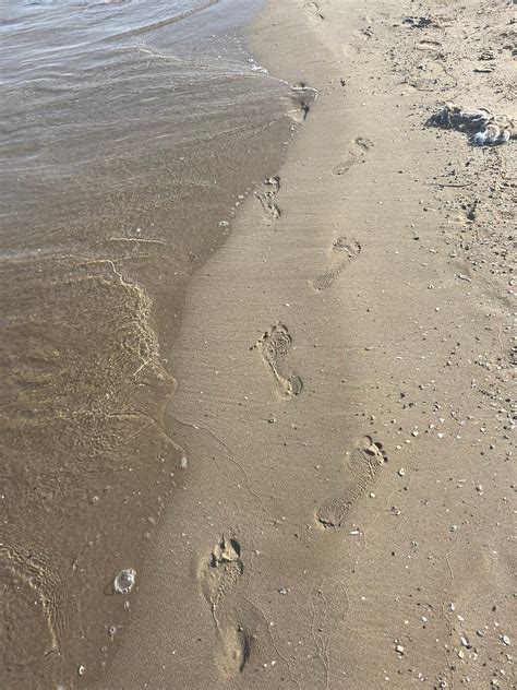 Amanda Lorence Amanda Lorence Added A New Photo