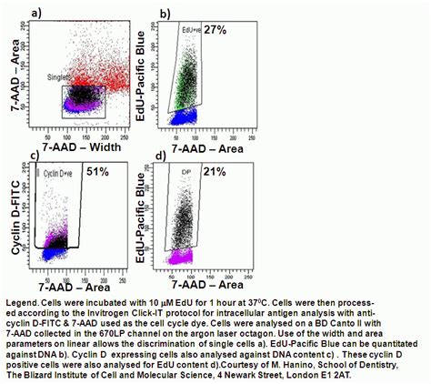 Edu Cell Cycle Analysis Flow Cytometry Core Facility