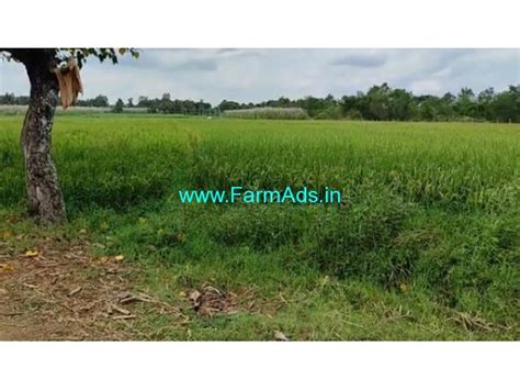 2 Acre Farm Land For Sale Near Bangalore Bangalore