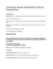 Understanding Mouse Genetics Genotype And Phenotype Relationship Course Hero