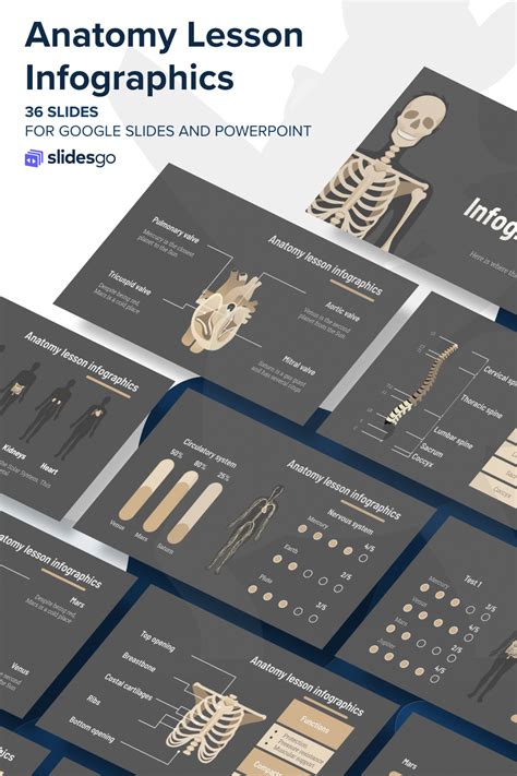 Skeletal System Infographics Google Slides Powerpoint Artofit