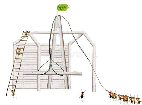 Ants Build Houses Stock Image Image Of Interesting Original 28174525