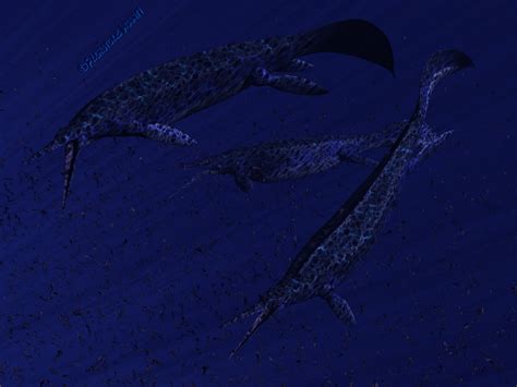 Art Evolved Lifes Time Capsule The Ichthyosaur Gallery