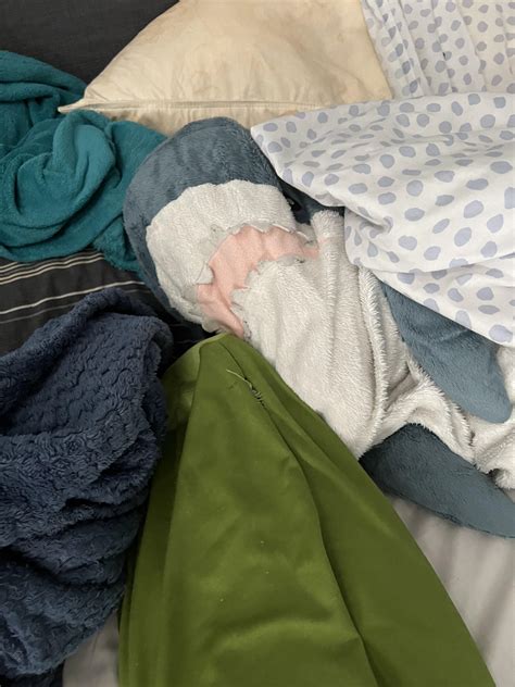 Post Nap Squashhaj R Blahaj