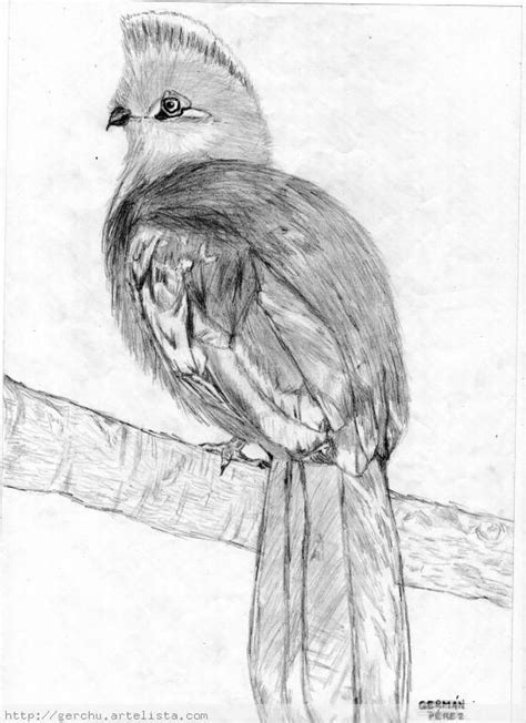 Dibujo Dibujos Dibujos A L Piz