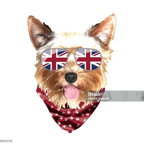 요크셔 테리어 초상화 영국 국기 안경과 두건에 귀여운 멋진 개 벡터 일러스트 레이 션 T 셔츠에 대한 스톡 벡터 아트 및 기타 이미지 T 셔츠 강아지 개 강아지 어린