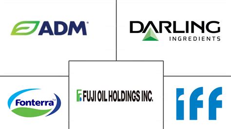 중국 단백질 시장 규모 및 점유율 분석 산업 연구 보고서 성장 동향