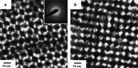 Transmission Electron Micrographs Of The Ps Pt Gyroid Nanohybrids With Download Scientific