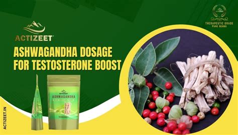 Optimal Ashwagandha Powder Dosage For Testosterone Boost