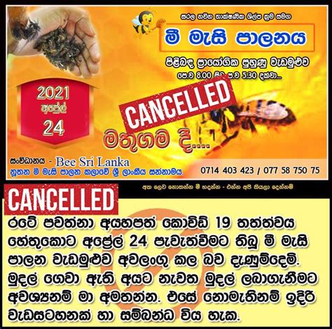 Bee Sri Lanka Home Facebook
