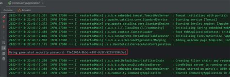 Springsecurity Look Word
