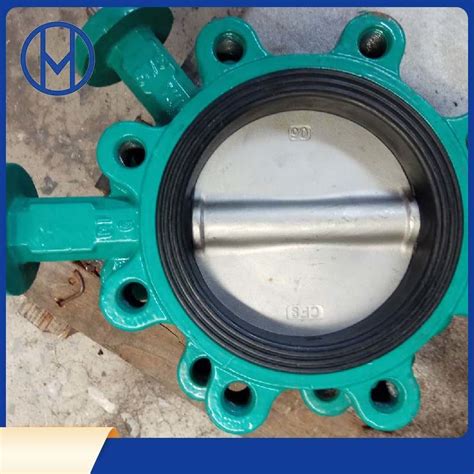 Factory Cast Iron Di Ci Wcb SS304 Lever Worm Gear Electrical Actuator 4
