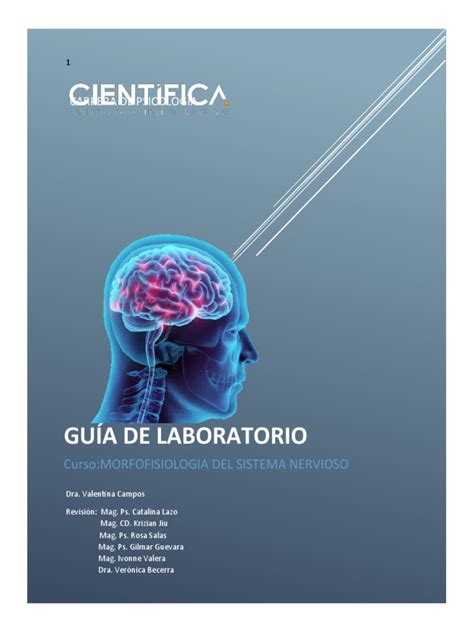 Guia De Practica Morfofisiologia Del Sistema Nervioso Pdf
