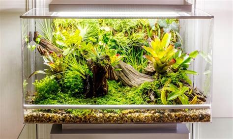 World S First Smart Microhabitat Can Grow Just About Anything In Your