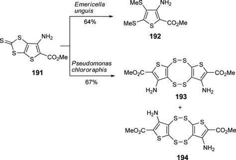 Enzyme Reactions Rate And Factor Affecting The Rate Of