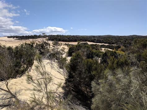 Dundubara Campground Qpws Unnamed Rd Fraser Island Qld 4581 Australia
