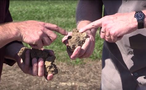 Cornell Soil Health Assessment Sare