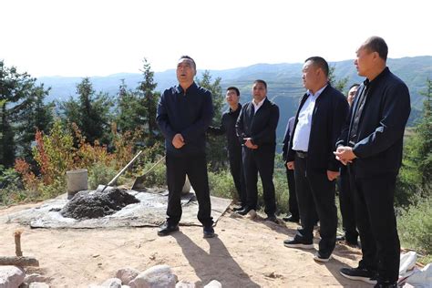武山县委书记王新强调研指导乡村建设工作图 天水在线