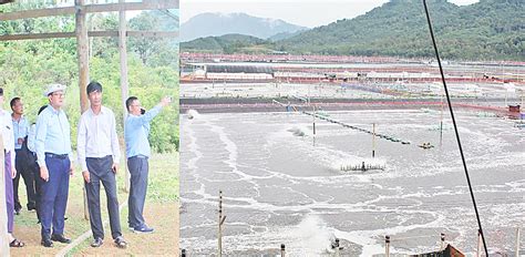 ငါး၊ ပုဇွန်မွေးမြူရေးလုပ်ငန်းများနှင့် စိုက်ပျိုးရေးလုပ်ငန်းများကို