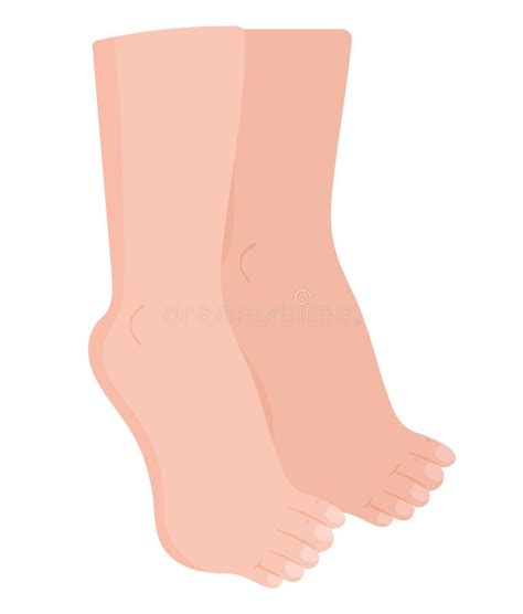 Pies De Parte Del Cuerpo Humano Ilustración Del Vector Ilustración De
