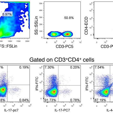 Scheme Of The Th Subgroup Detection The Lymph Node Tissue Was Selected Download Scientific
