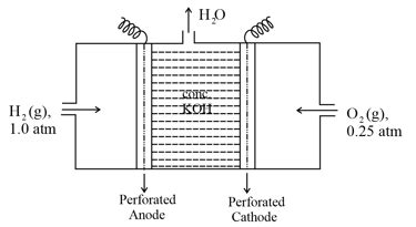 Thermodynamics Of Cell Contains Questions With Solutions Points To Remember