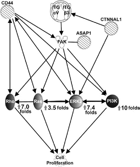 Pathway Analysis Infers Molecular Pathway Of Relapse Pathway Analysis
