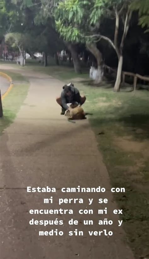 Salió A Pasear A Su Perra Se Cruzó A Su Ex Y La Insólita Reacción Del
