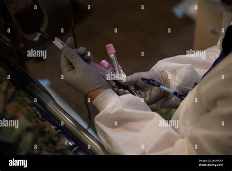 Us Marine Corps Sgt Carlos Lopezramirez A Data Systems