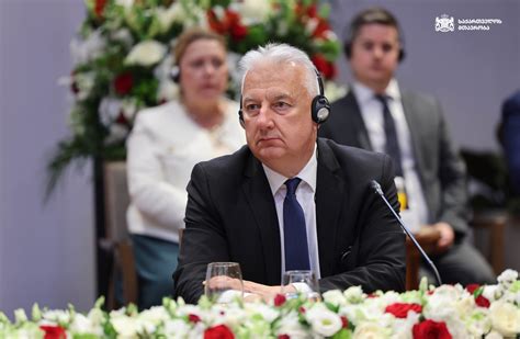 საქართველოს ირაკლი კობახიძისა და ვიქტორ ორბანის თანათავმჯდომარეობით ბუდაპეშტში საქართველო