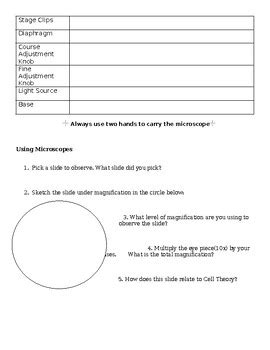 Lab Activity Exploring Microscopes A Beginner S Guide TPT