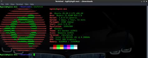 A Few Ways To Determine Which Distro And Version Youre Using • Linux Tips
