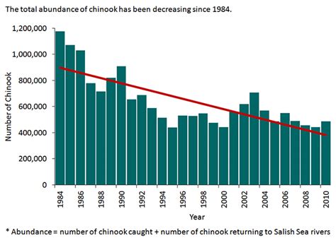 Chinook Salmon Health Of The Salish Sea Ecosystem Report Us Epa
