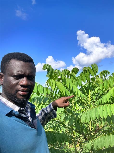 Evans Kyere Mensah On Linkedin Climateaction Greengrowth Nature