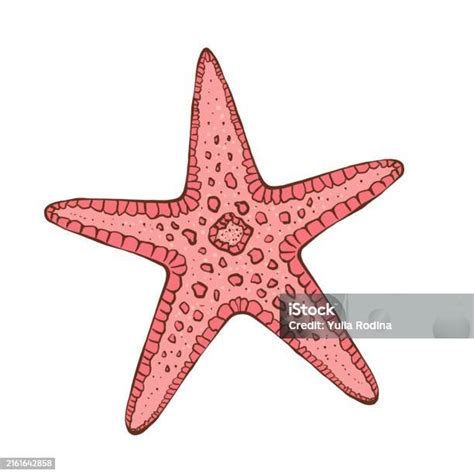 핑크 불가사리 수중 세계 손으로 그린 그래픽 일러스트 와 바다 조개 에서 플랫 스타일로 흰색 배경에 고립되어 있습니다 직물 카드 전단지용 인쇄 갑각류에 대한 스톡 벡터 아트