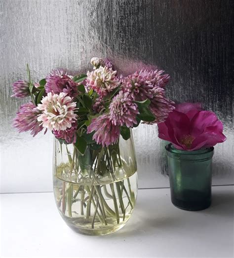 цветы в прозрачной вазе Flowers Vase Glass Vase