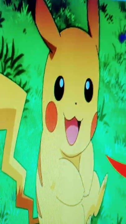 실제로 존재하는 포켓몬스터 Youtube