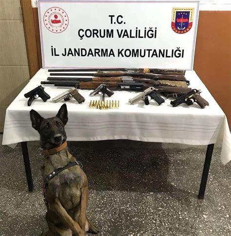 Çorum İl Jandarma Komutanlığından Ruhsatsız Silah ve Mühimmat