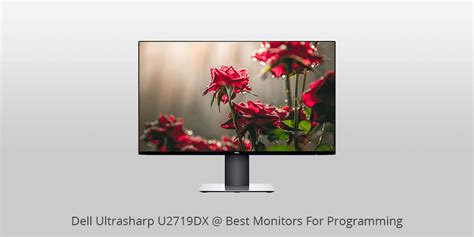 7 Best Monitors For Programming In 2025