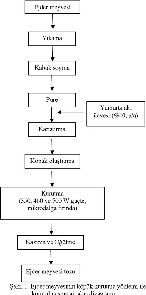 Figure 1 From Investigation Of Drying Kinetics And Powder Product